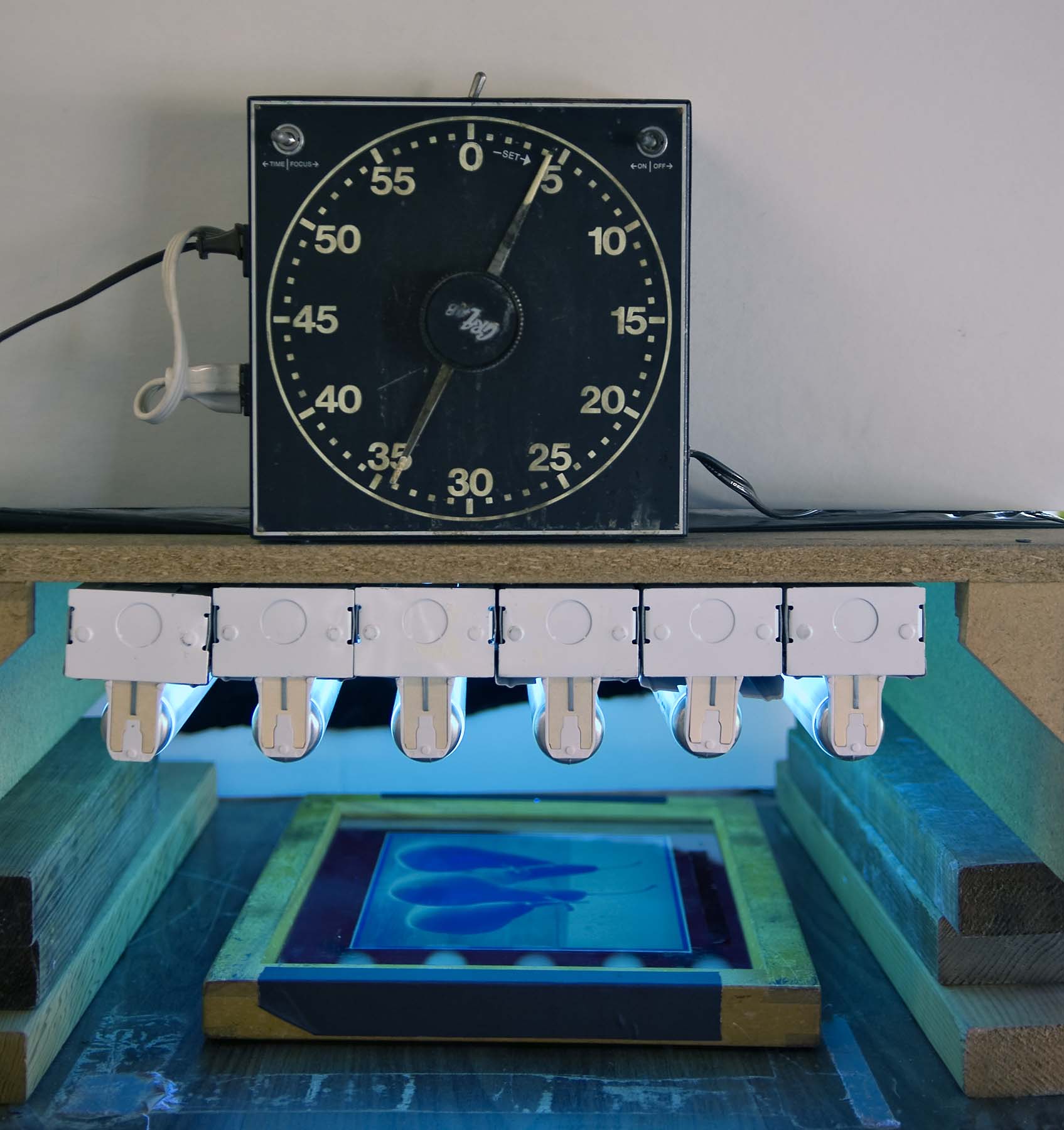 Oil Printing: Updating a Classic Process | Larry Shapiro Photography