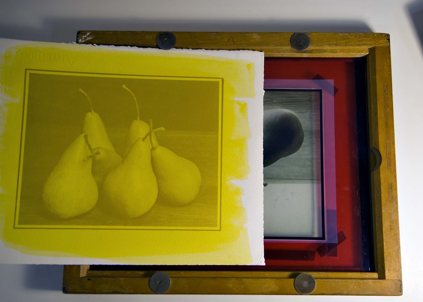 Oil Printing: Updating a Classic Process | Larry Shapiro Photography