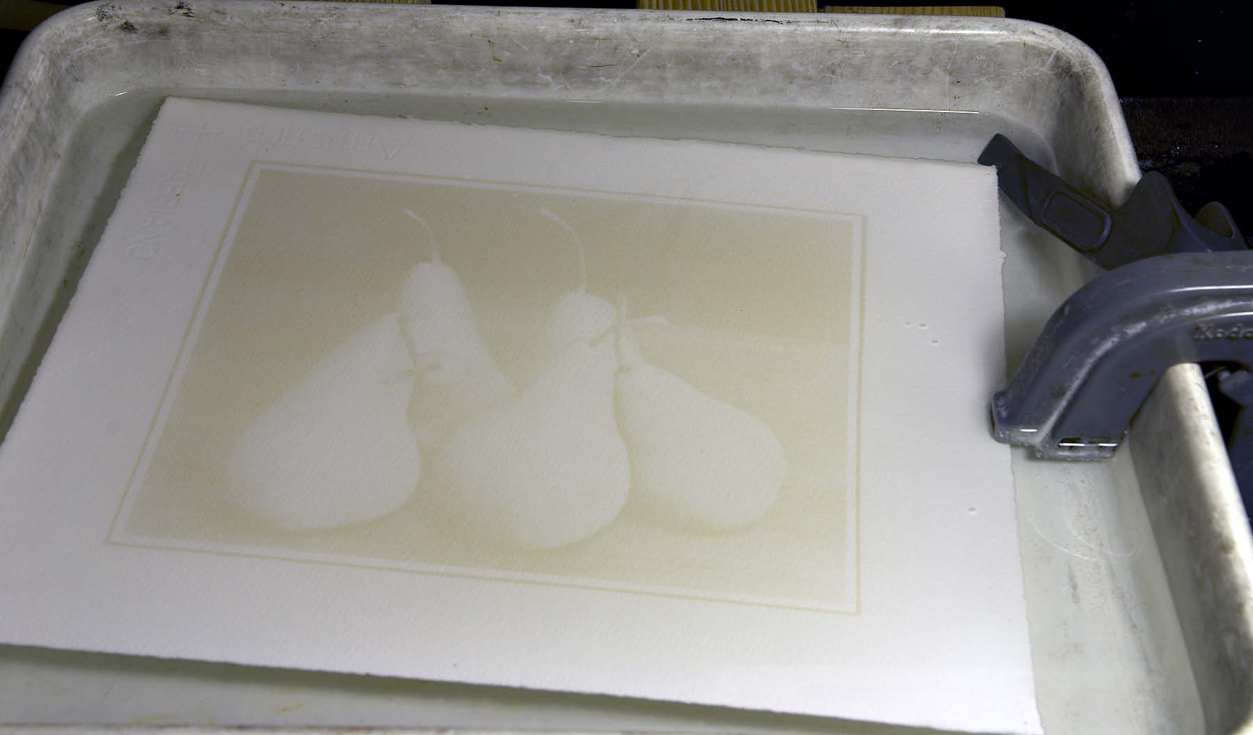 Oil Printing: Updating a Classic Process | Larry Shapiro Photography