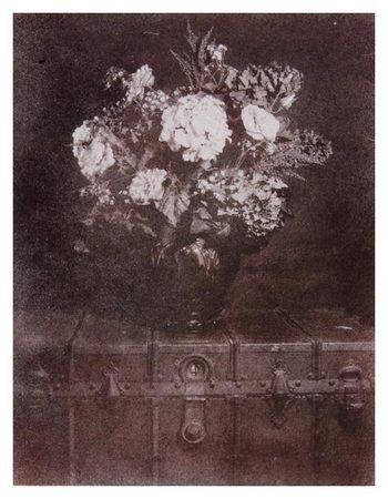 Bromoil Transfer: Flowers | Larry Shapiro Photography